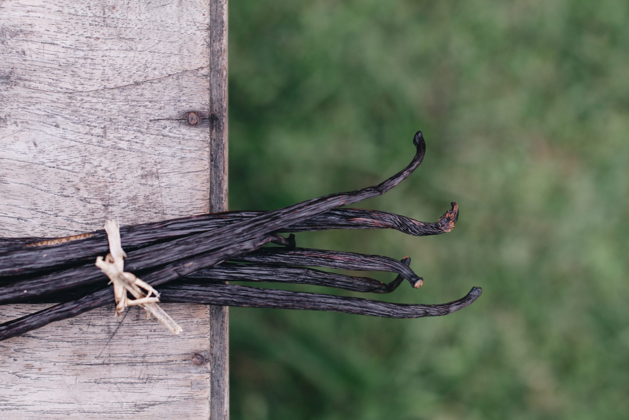 Organic Vanilla - MIO